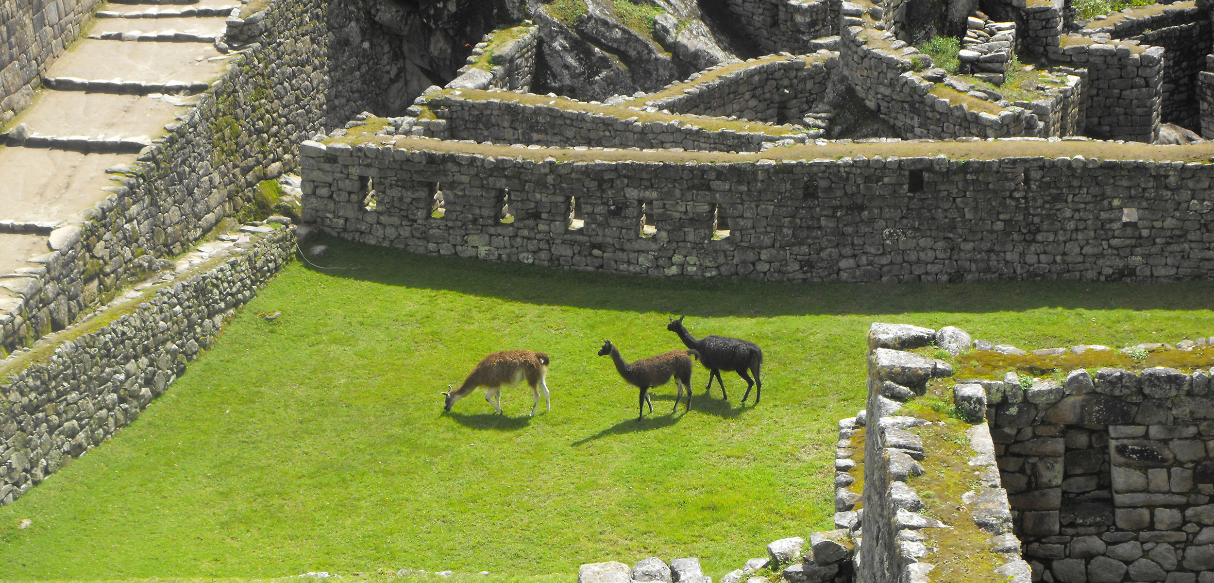 Machu Picchu General Information - Golden Machu Picchu Peru